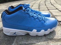 Air Jordan 9 Low Pantone | SneakerFiles