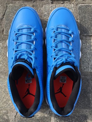 Air Jordan 9 Low Pantone | SneakerFiles
