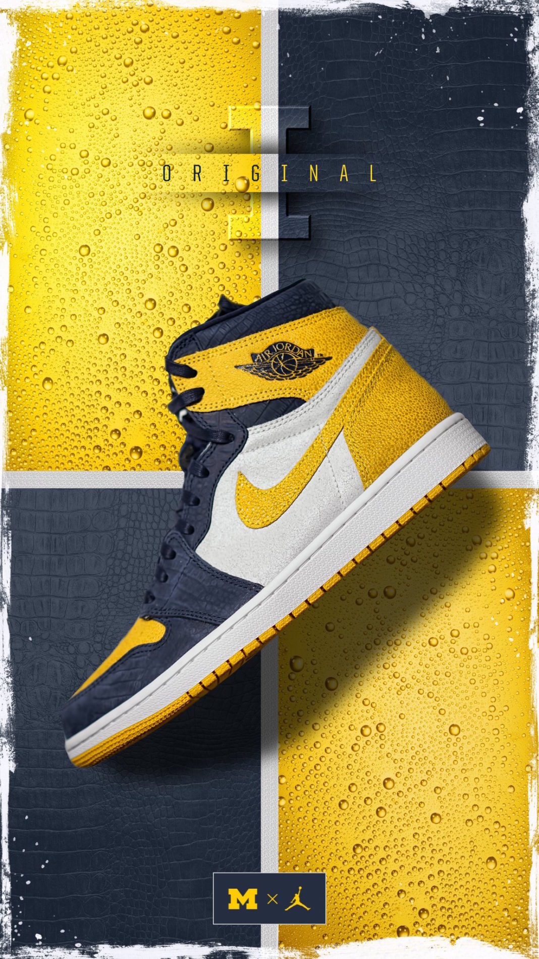 Air Jordan 1 Michigan PE | SneakerFiles