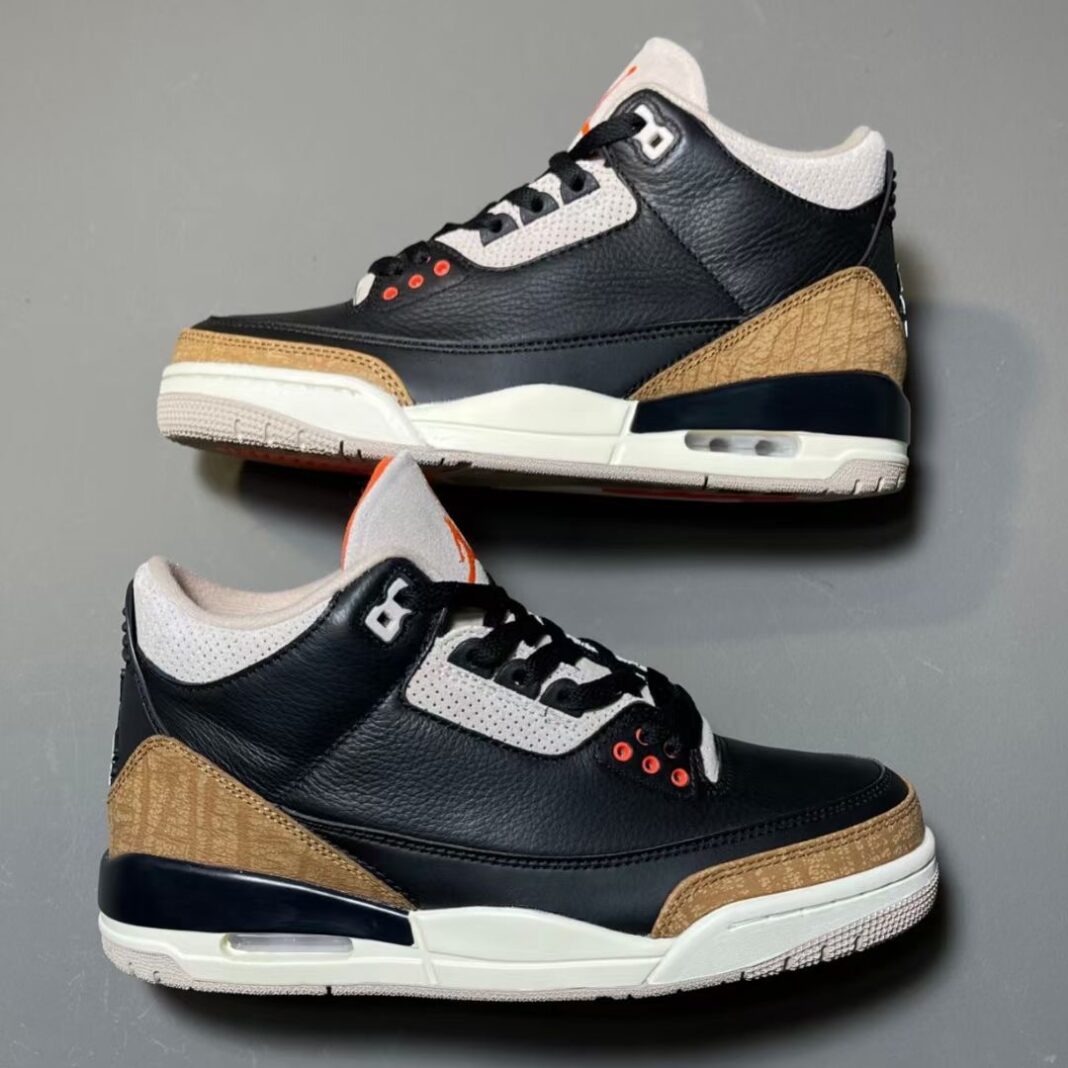 Air Jordan 3 Desert Elephant CT8532-008 Release Date Info | SneakerFiles