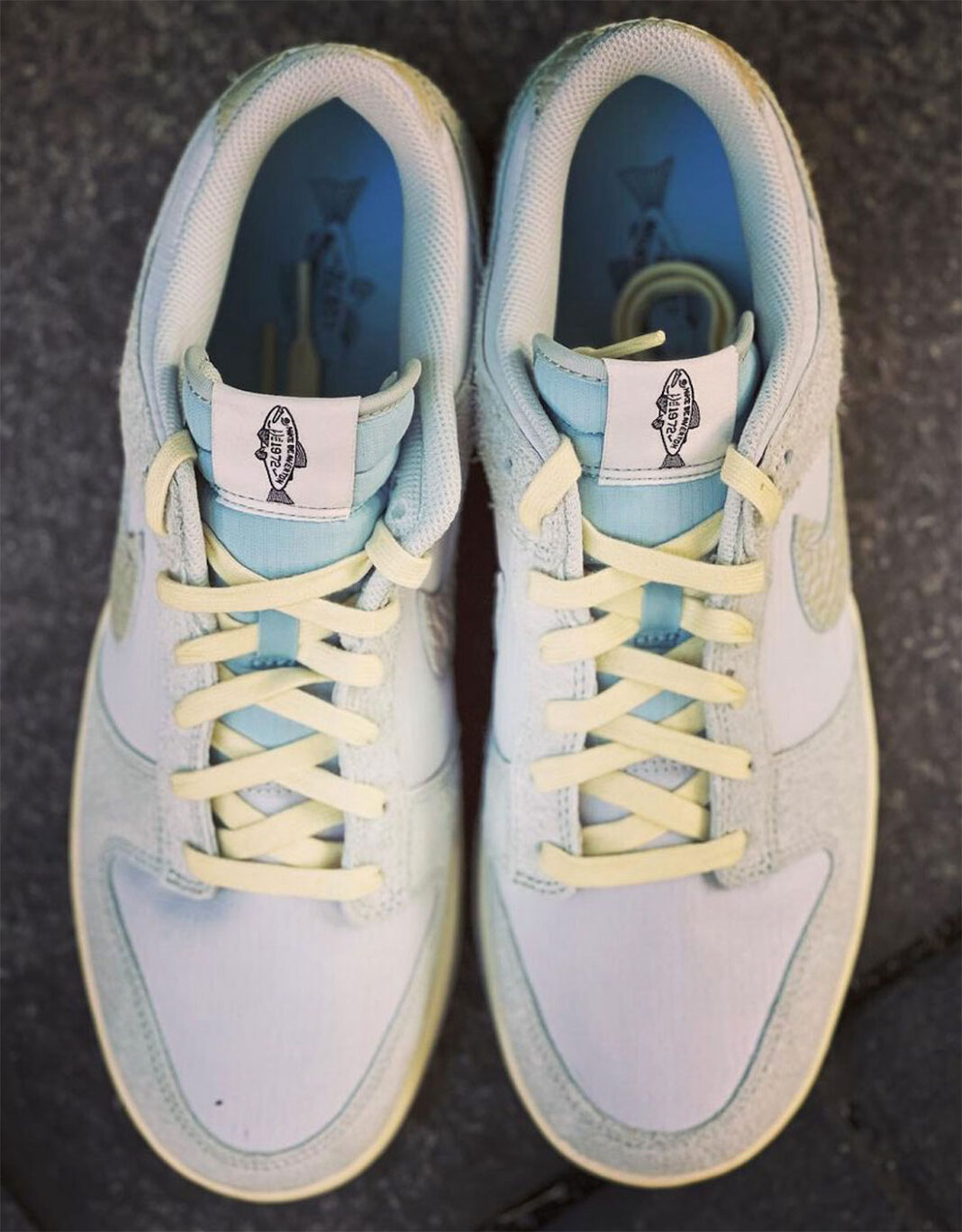 Nike Dunk Low Chinook Salmon DV7210-001 Release Date | SneakerFiles