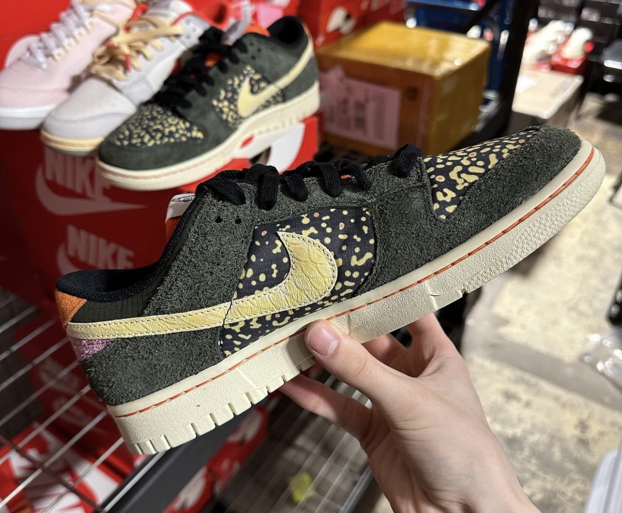 Nike Dunk Low Rainbow Trout FN7523-300 Release Date + Where to Buy ...