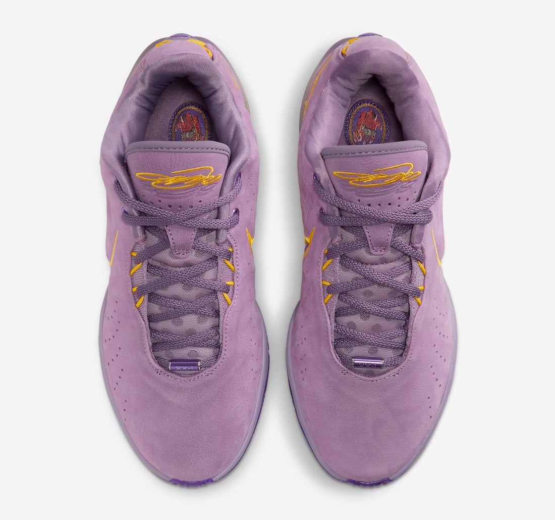 Nike LeBron 21 Violet Dust FV2345-500 | SneakerFiles