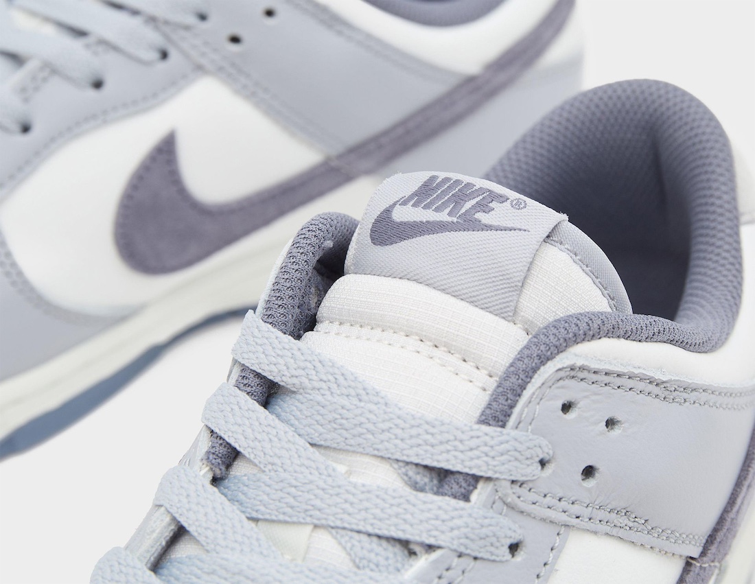 Nike Dunk Low Light Carbon FJ4188-100 | SneakerFiles