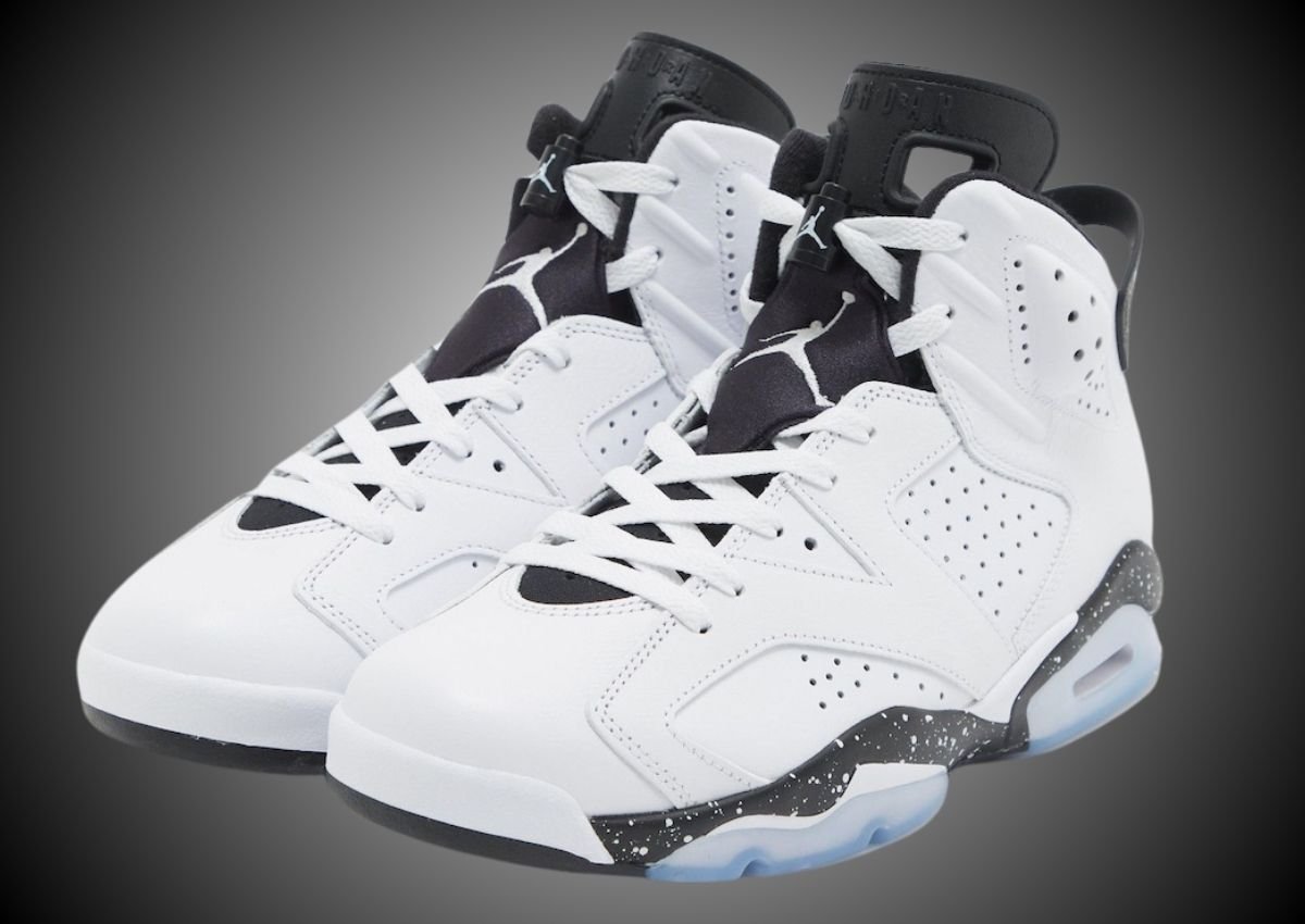Air Jordan 6 Reverse Oreo White Black CT8529-112 | SneakerFiles