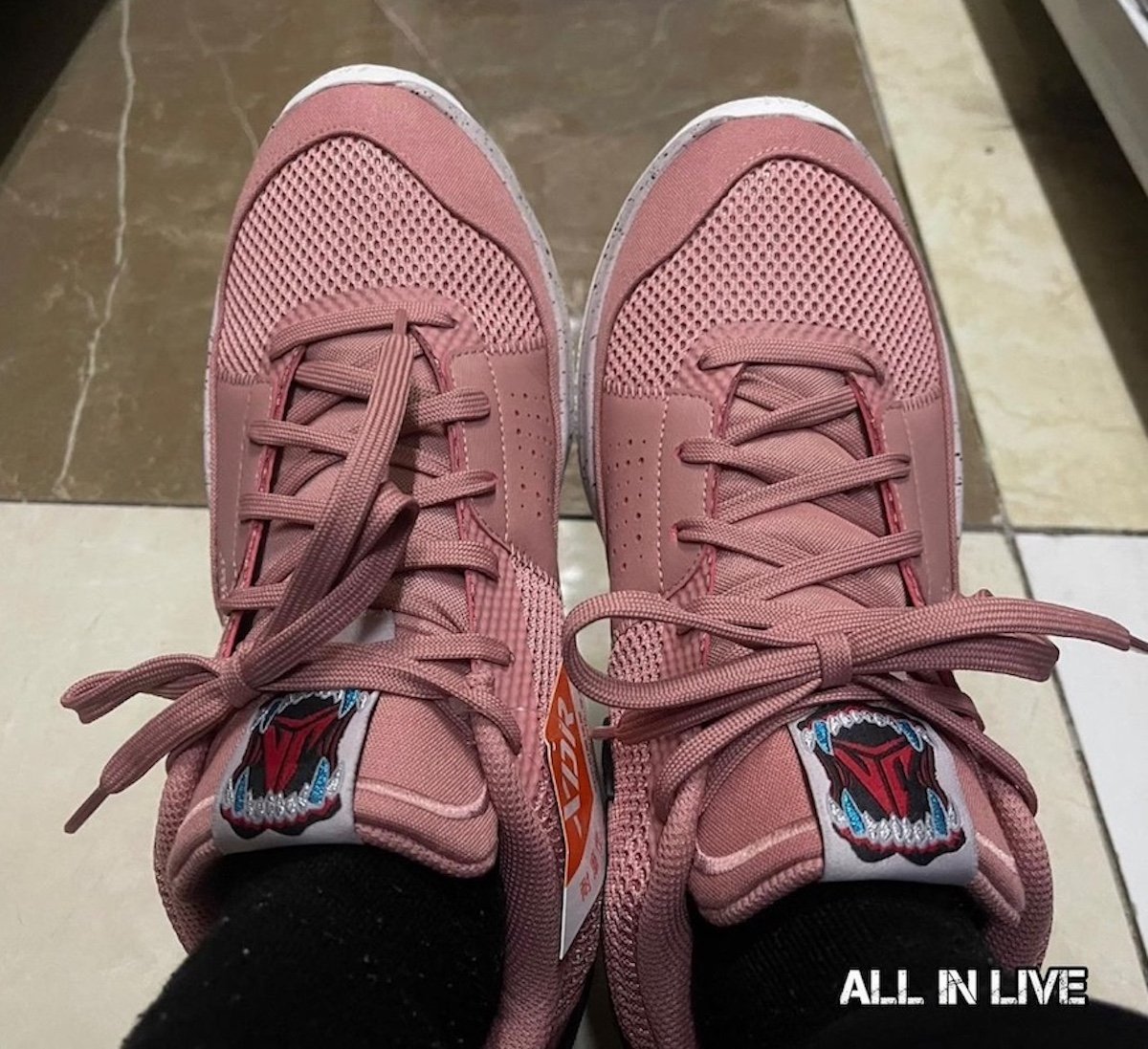 Nike Ja 1 Red Stardust FV1286-600 | SneakerFiles