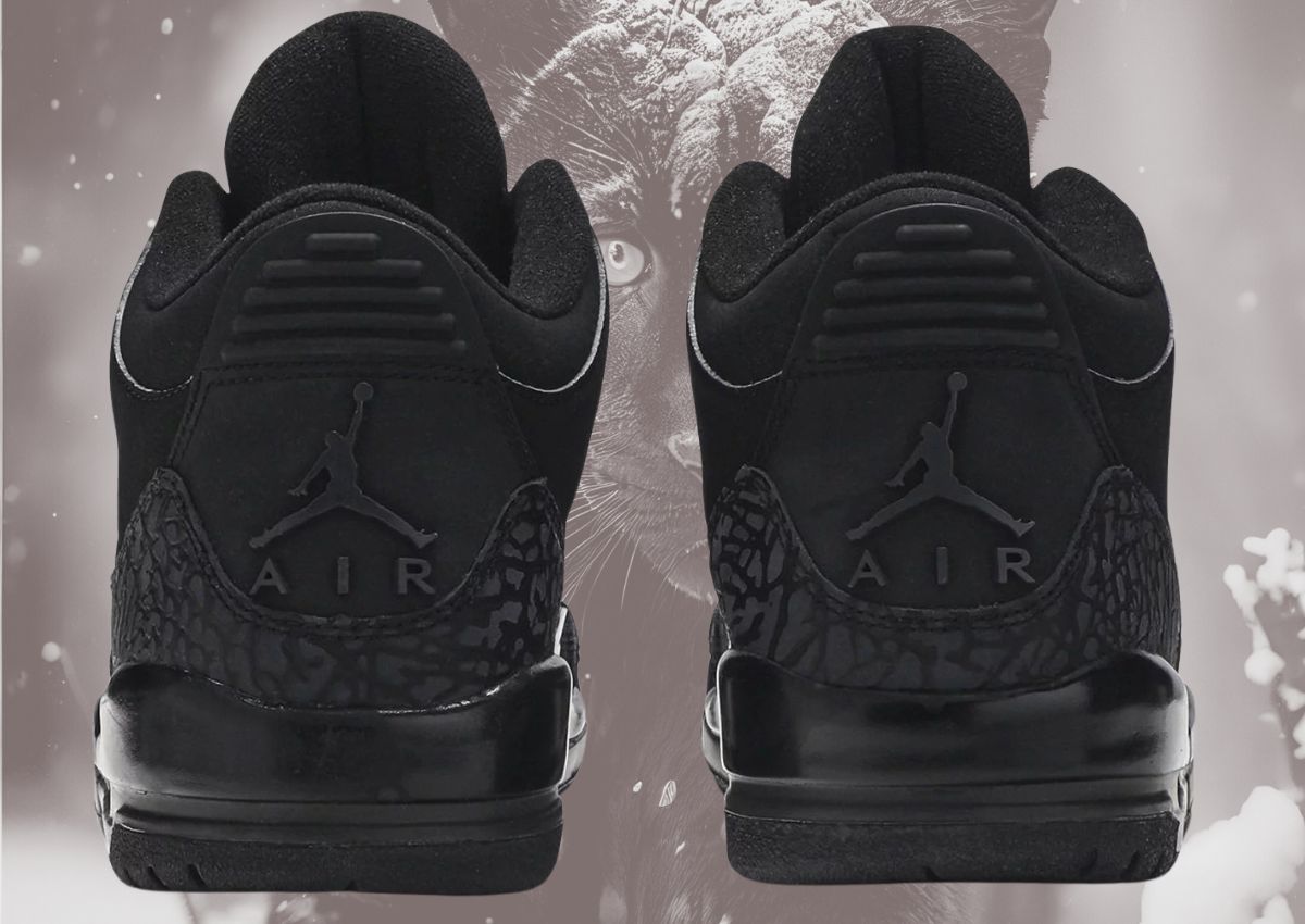 Air Jordan 3 Black Cat 2025 CT8532-001 | SneakerFiles