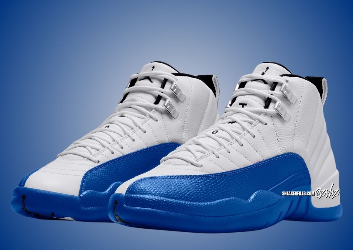 Air Jordan 12 Blueberry CT8013-140 | SneakerFiles