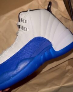 Air Jordan 12 Blueberry CT8013-140 | SneakerFiles