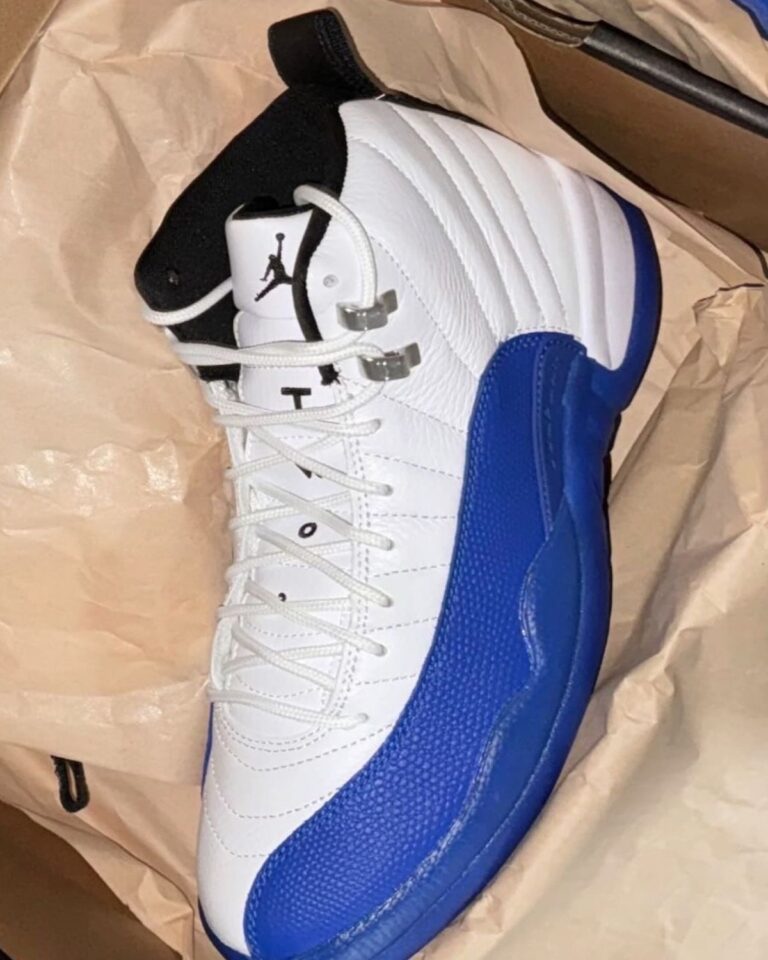 Air Jordan 12 Blueberry CT8013-140 | SneakerFiles