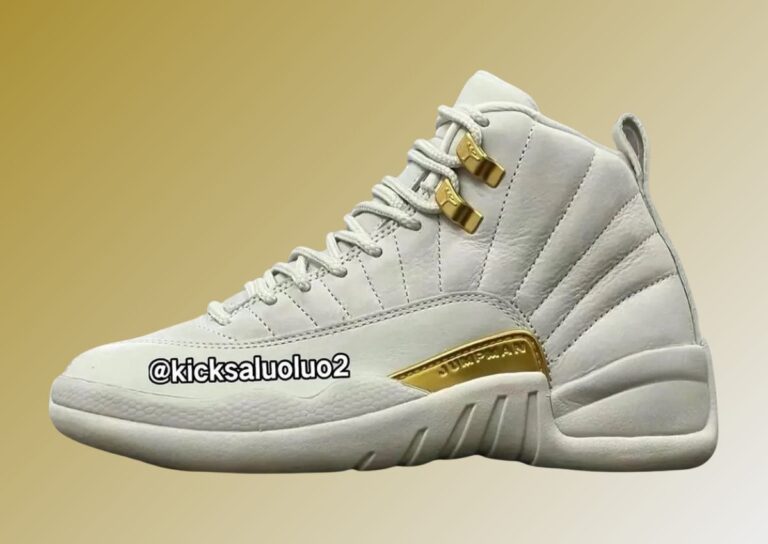 Air Jordan 12 Phantom FD9101-007 | SneakerFiles