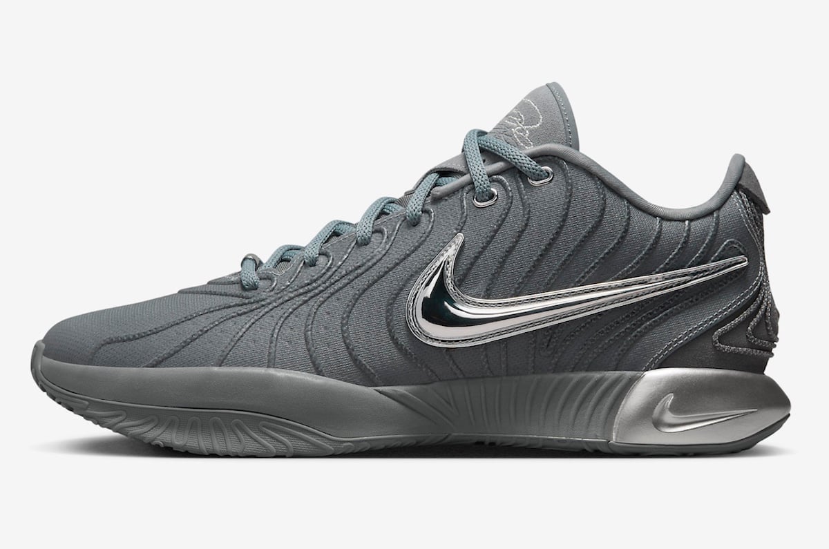 Nike LeBron 21 Cool Grey HF5352-001 | SneakerFiles