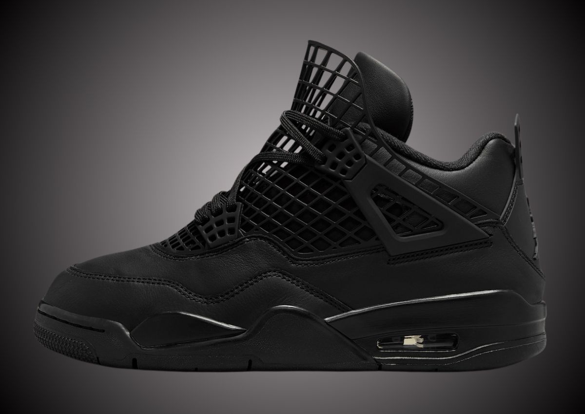 Air Jordan 4 NET Black FN7251-001 | SneakerFiles