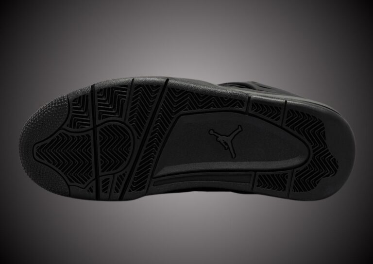 Air Jordan 4 NET Black FN7251-001 | SneakerFiles
