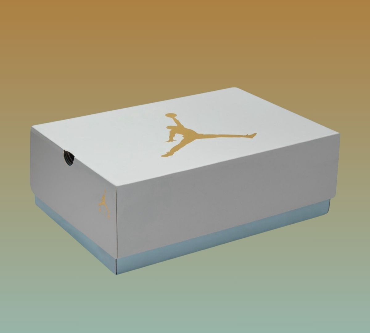 Air Jordan 6 Pearl Paris Olympics DQ4914-074 | SneakerFiles