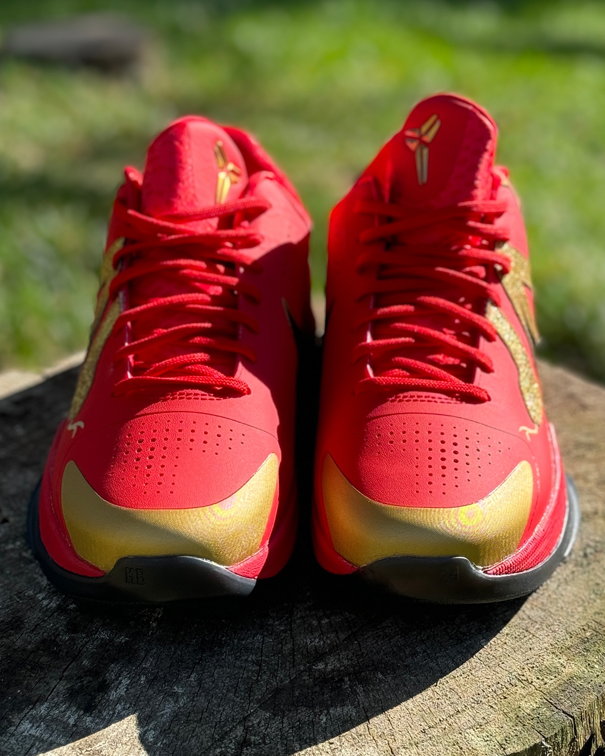 Nike Kobe 5 Protro Year of the Mamba University Red HF5182-600 ...