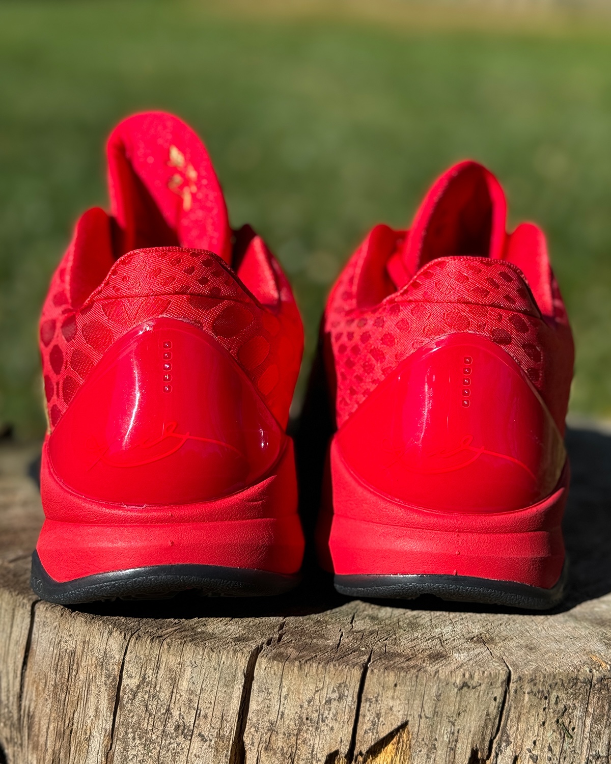 Nike Kobe 5 Protro Year of the Mamba University Red HF5182-600 ...