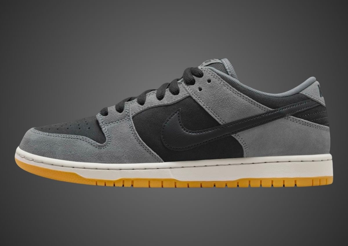 Nike SB Dunk Low Dark Smoke Grey HF3063-001 | SneakerFiles