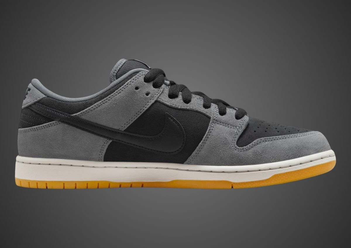Nike SB Dunk Low Dark Smoke Grey HF3063-001 | SneakerFiles