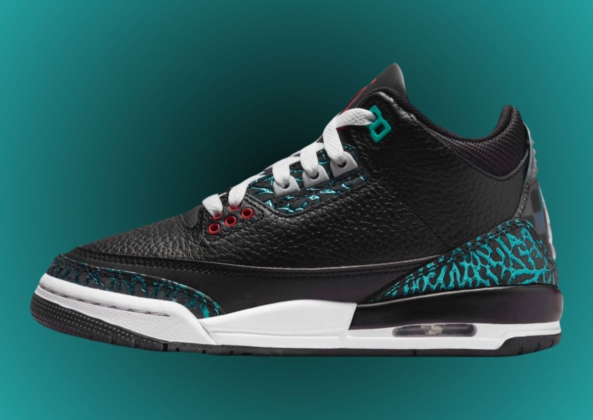 Air Jordan 3 GS Moto FV5437-001 | SneakerFiles