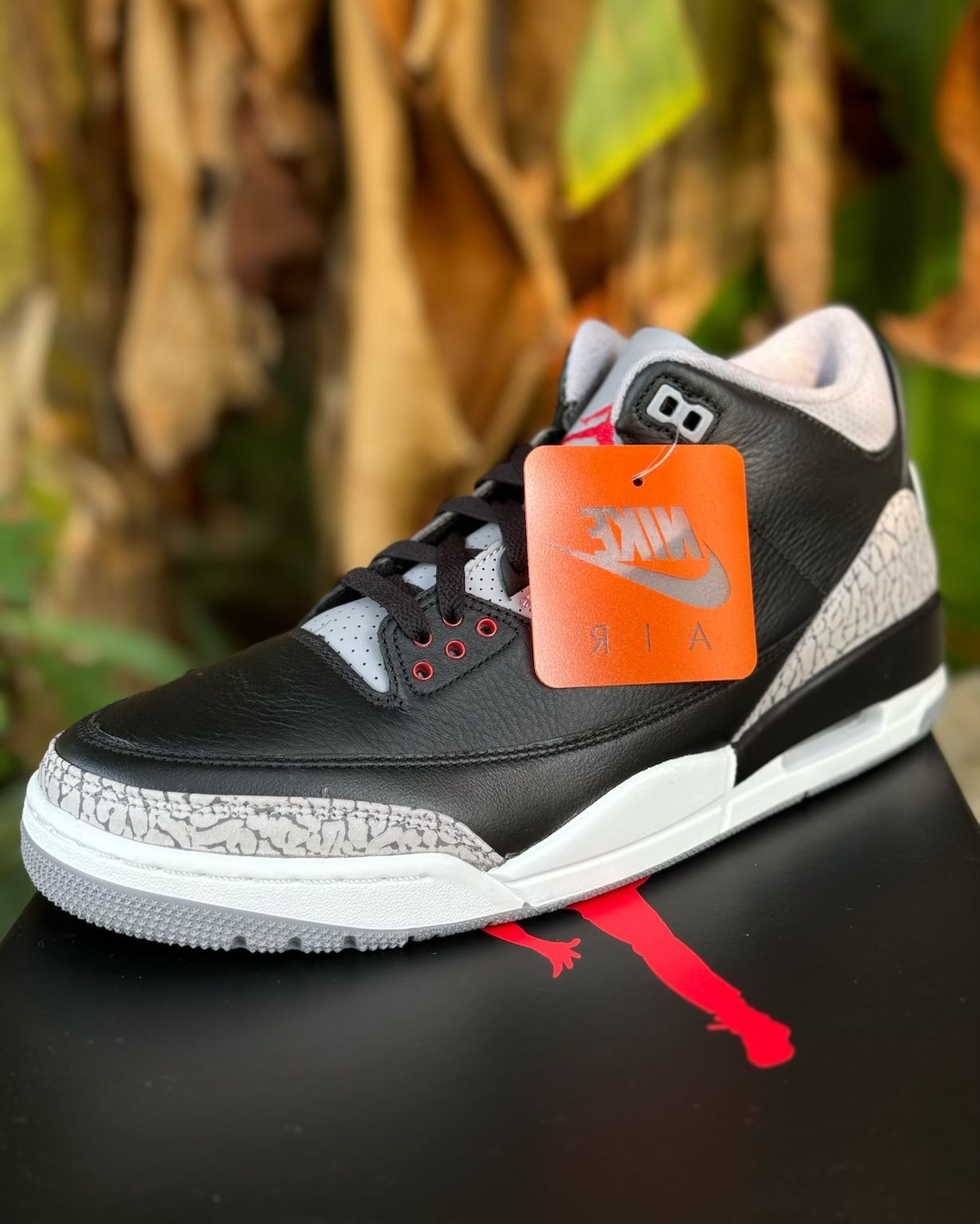 Air Jordan 3 OG Black Cement 2024 DN3707-010 | SneakerFiles