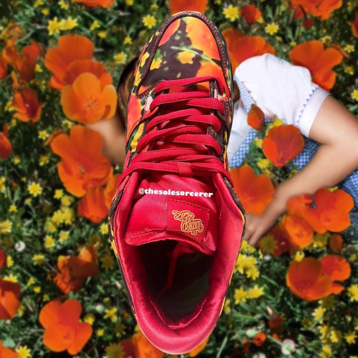 The Wizard of Oz x Nike SB Dunk Low FZ1291-600 | SneakerFiles