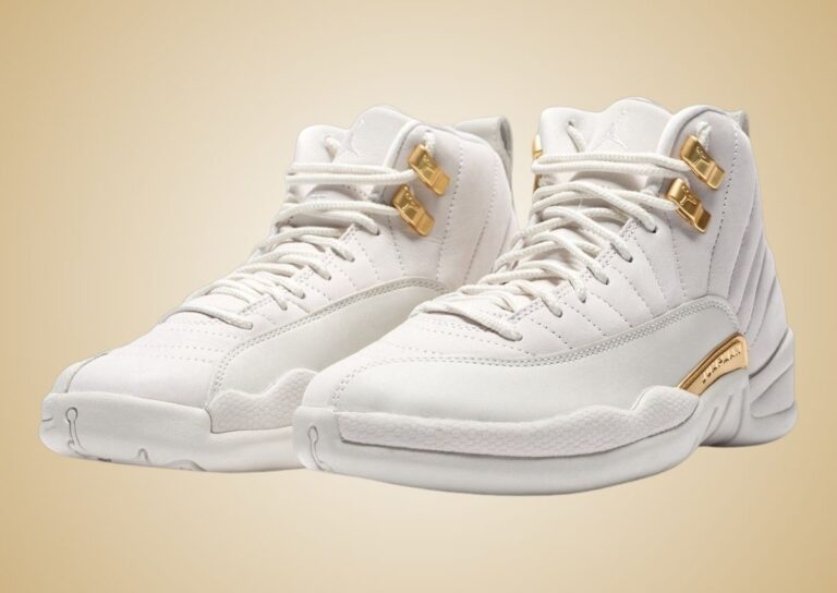Air Jordan 12 Phantom FD9101-007 | SneakerFiles