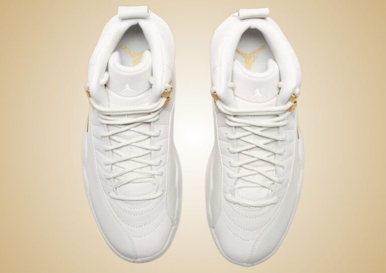 Air Jordan 12 Phantom FD9101-007 | SneakerFiles