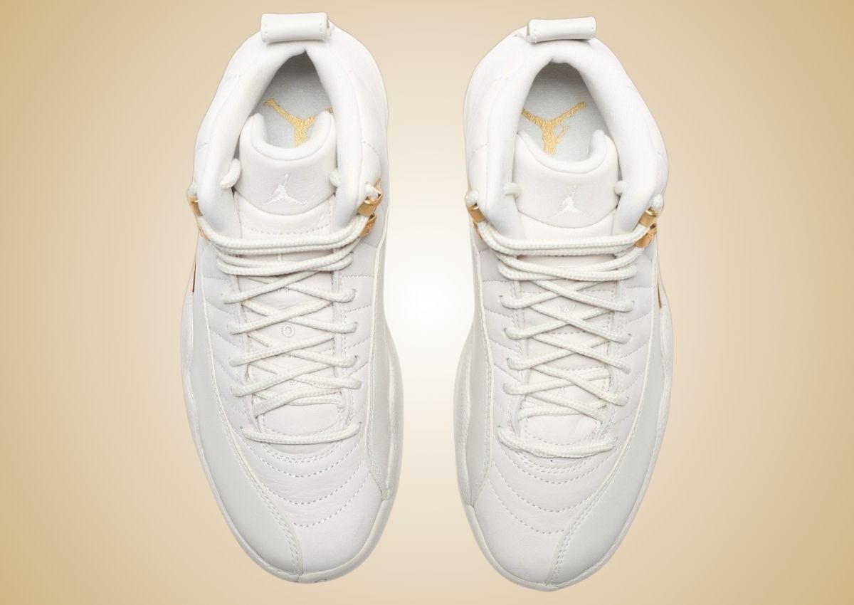Air Jordan 12 Phantom FD9101-007 | SneakerFiles