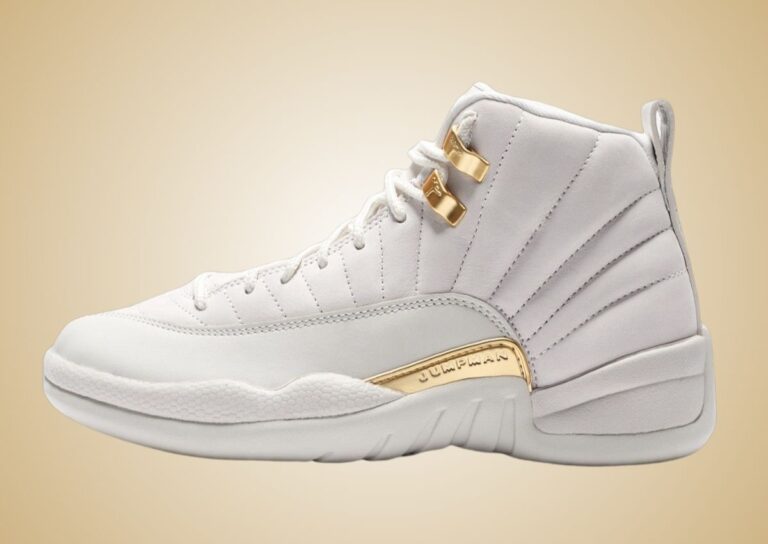 Air Jordan 12 Phantom FD9101-007 | SneakerFiles