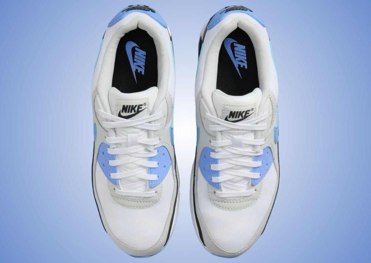 Nike Air Max 90 Royal Pulse DH8010-106 | SneakerFiles