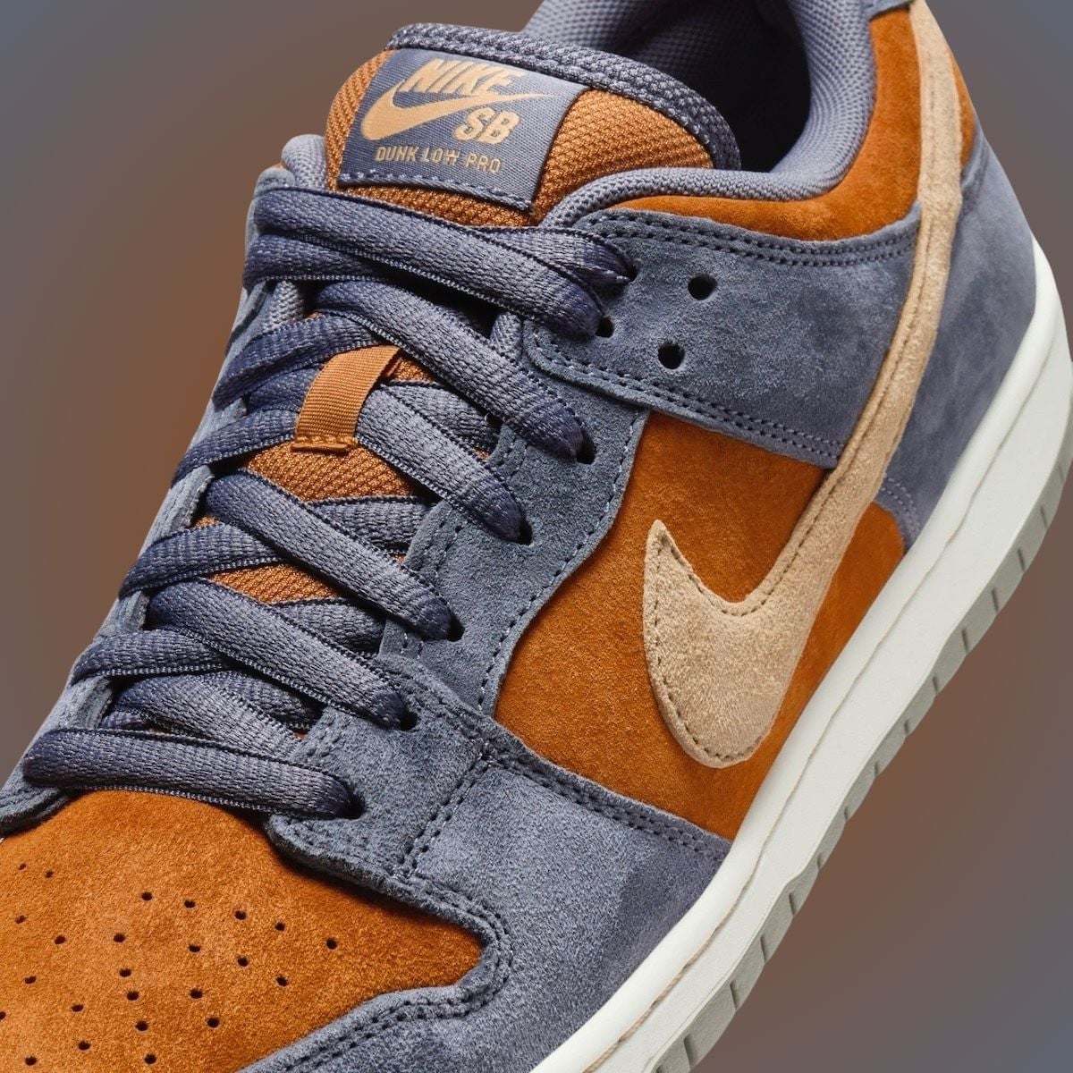 Nike SB Dunk Low Light Carbon Monarch HF3063-002 | SneakerFiles