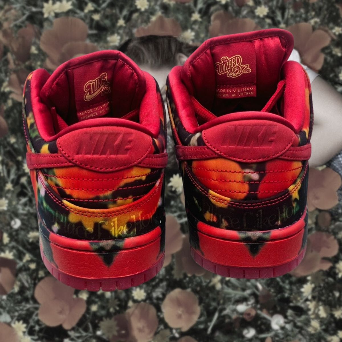 The Wizard of Oz x Nike SB Dunk Low FZ1291-600 | SneakerFiles