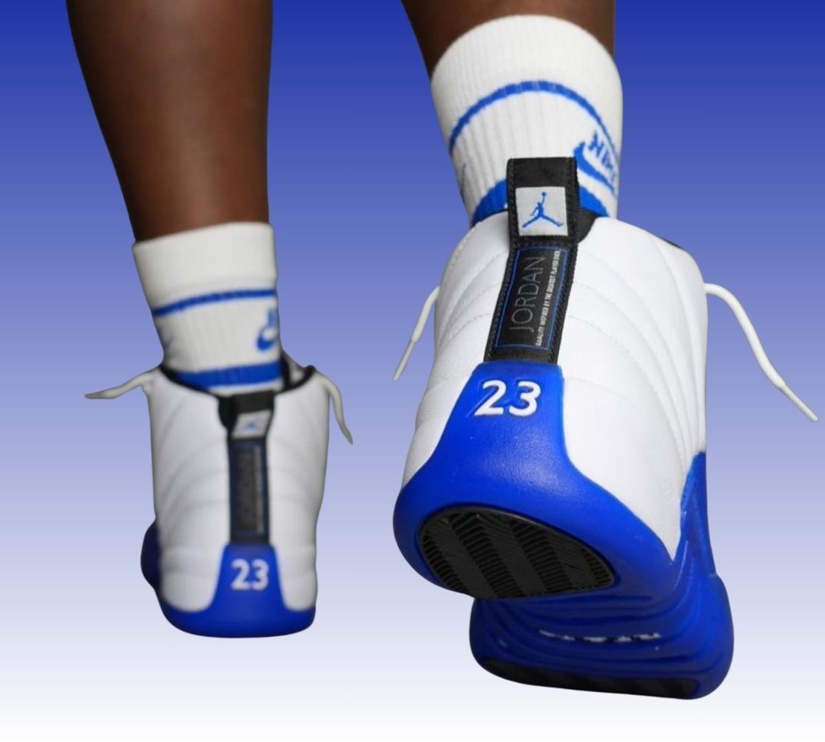 Air Jordan 12 Blueberry CT8013-140 | SneakerFiles