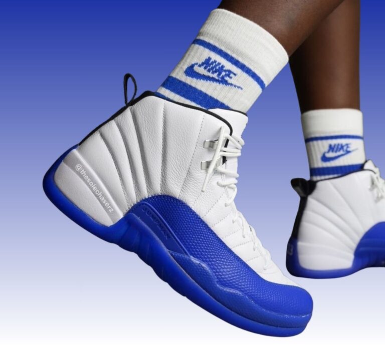 Air Jordan 12 Blueberry CT8013-140 | SneakerFiles