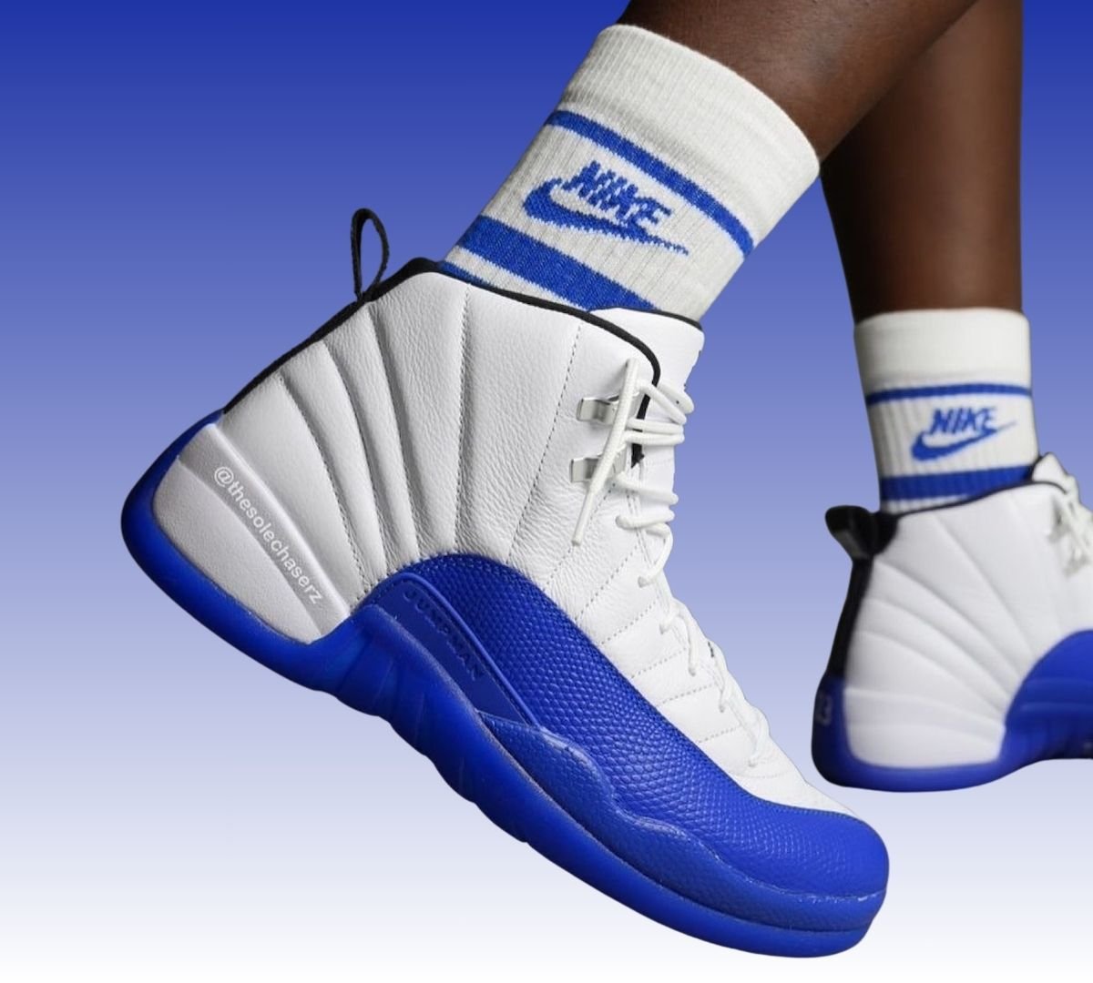 Air Jordan 12 Blueberry CT8013-140 | SneakerFiles