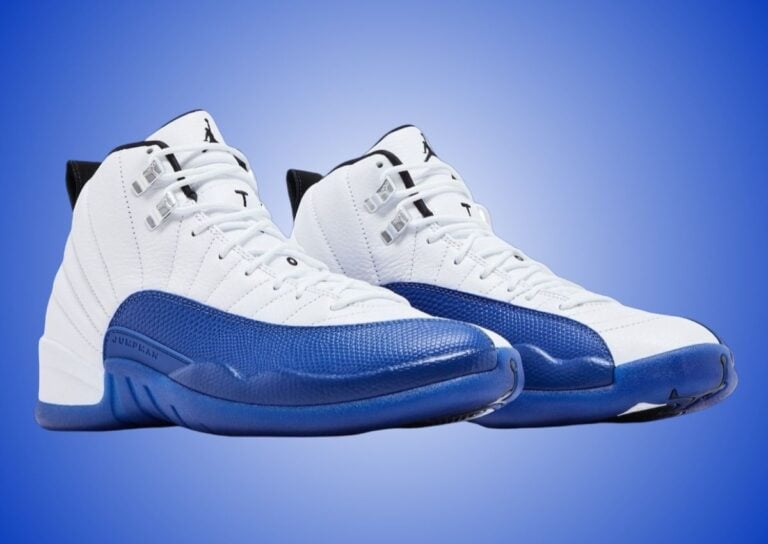 Air Jordan 12 Blueberry CT8013-140 | SneakerFiles