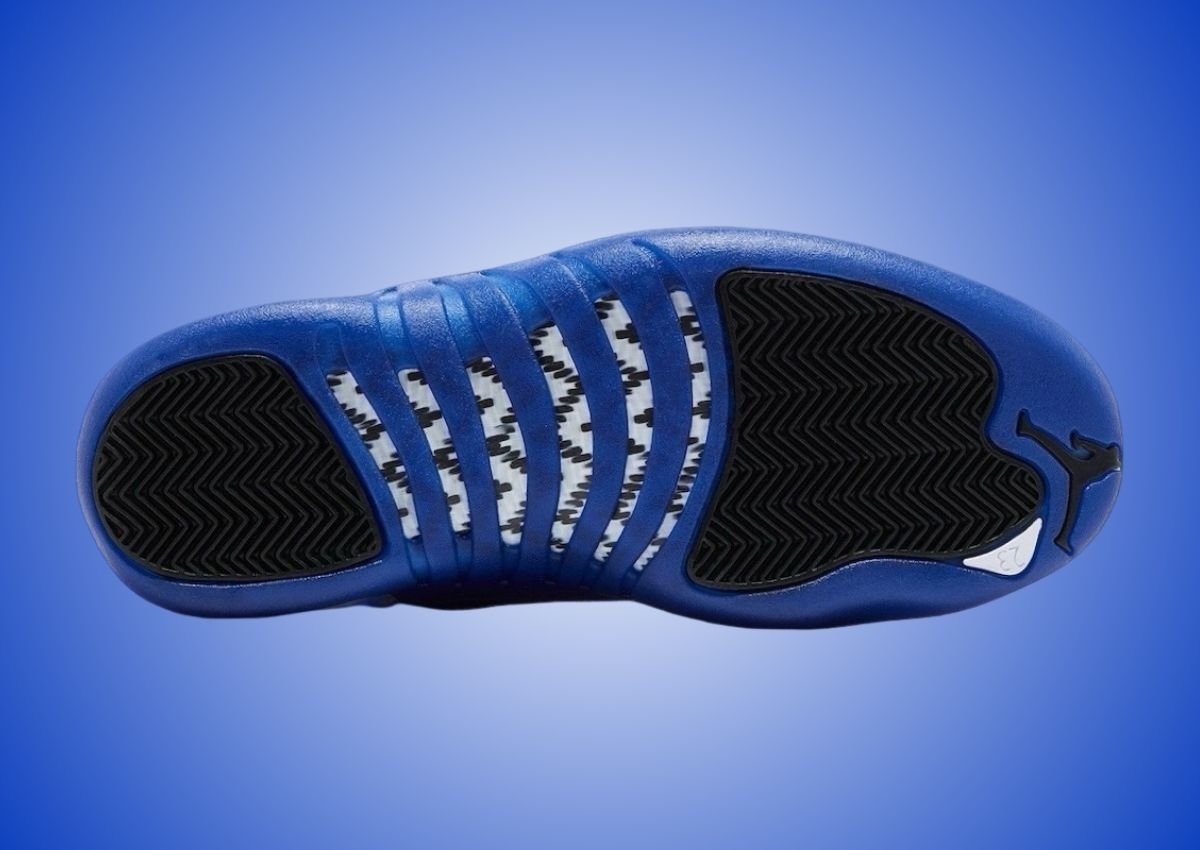 Air Jordan 12 Blueberry CT8013-140 | SneakerFiles