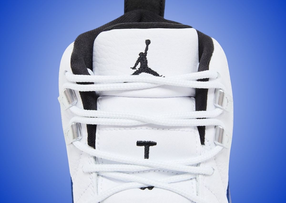 Air Jordan 12 Blueberry CT8013-140 | SneakerFiles