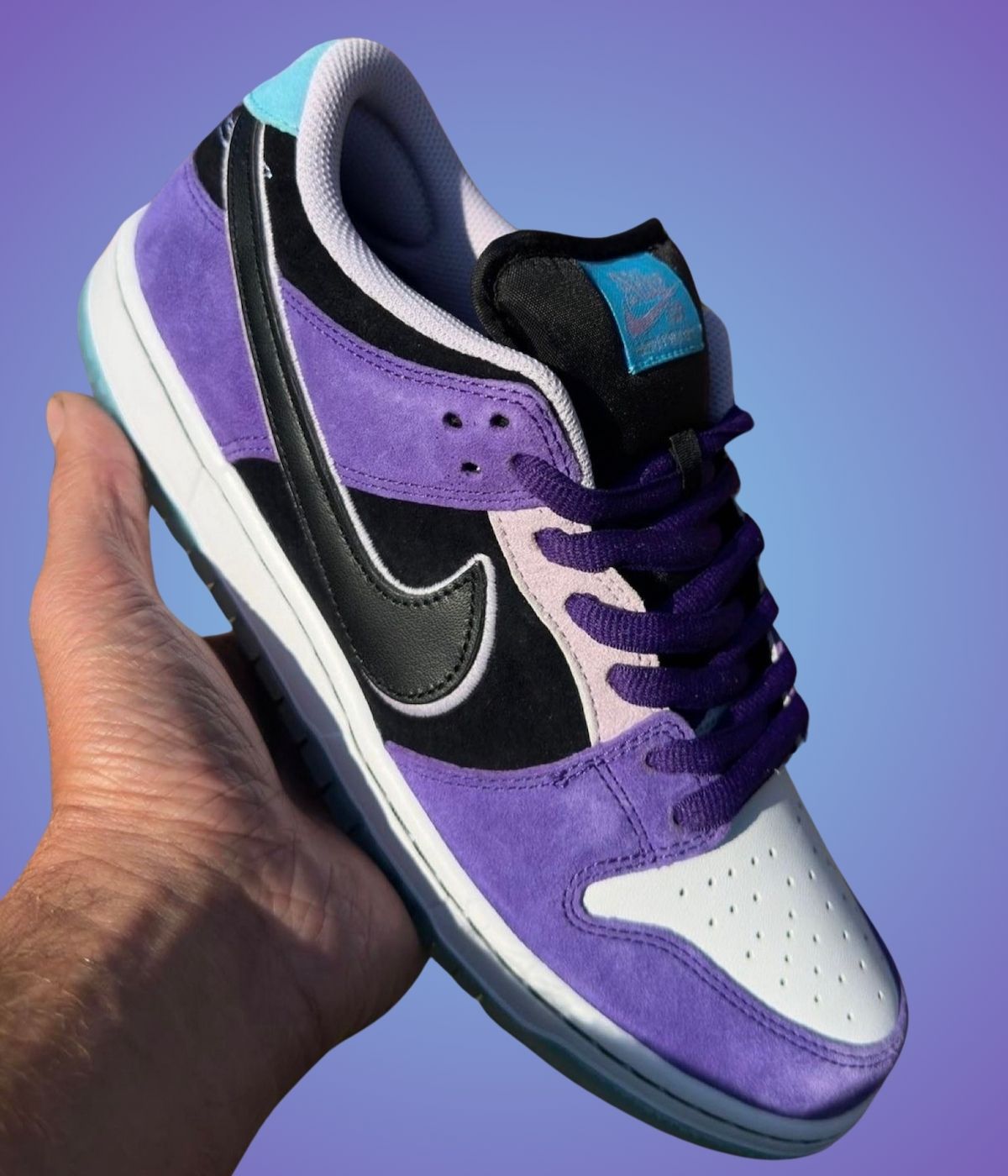 Hayley Wilson x Nike SB Dunk Low HJ0513-500 | SneakerFiles