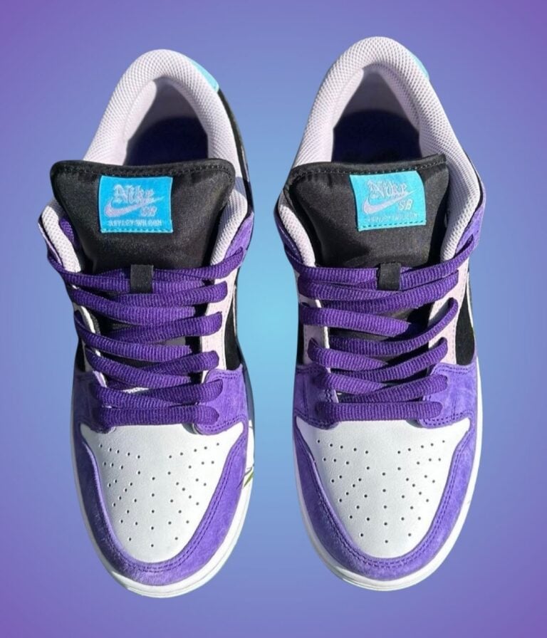 Hayley Wilson x Nike SB Dunk Low HJ0513-500 | SneakerFiles
