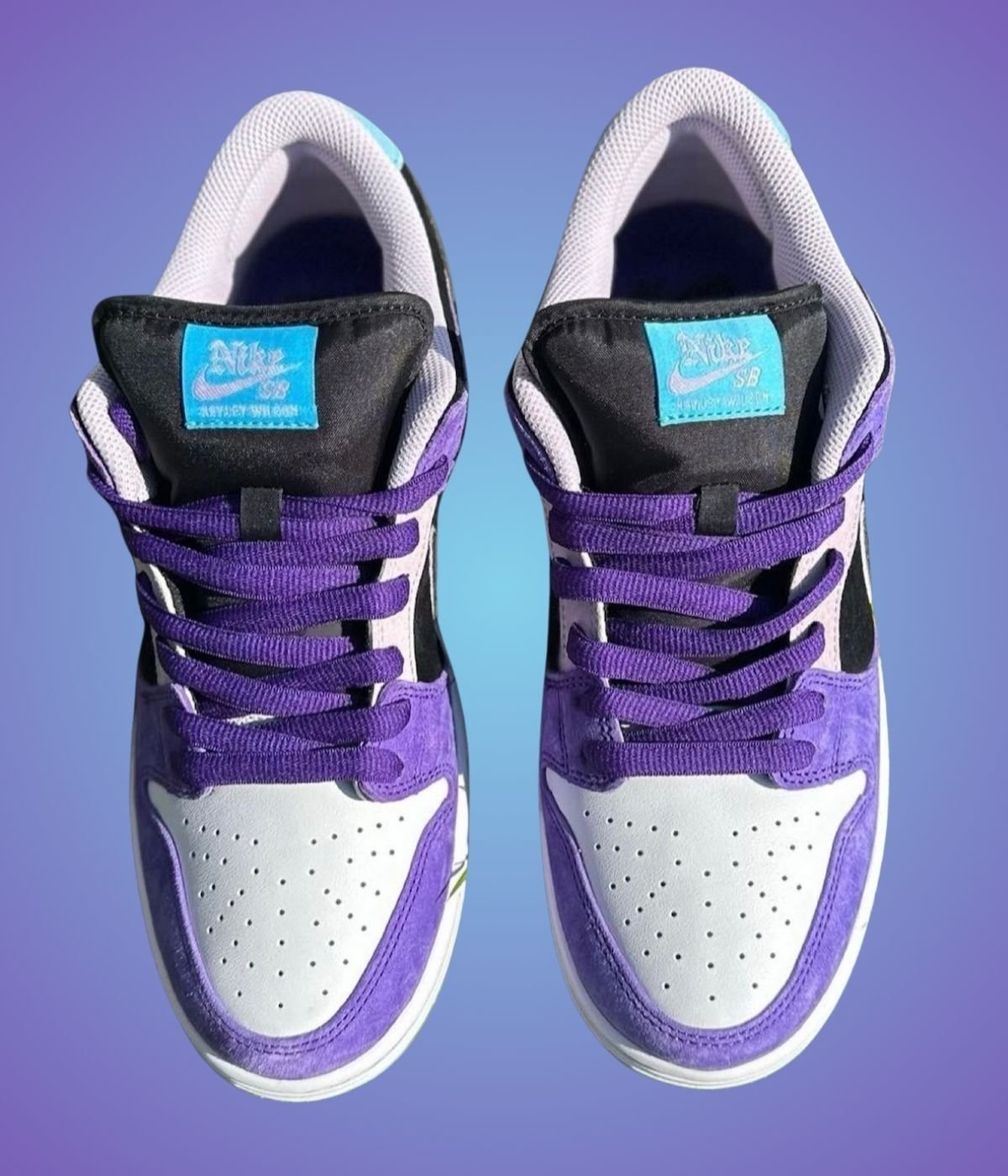 Hayley Wilson x Nike SB Dunk Low HJ0513-500 | SneakerFiles