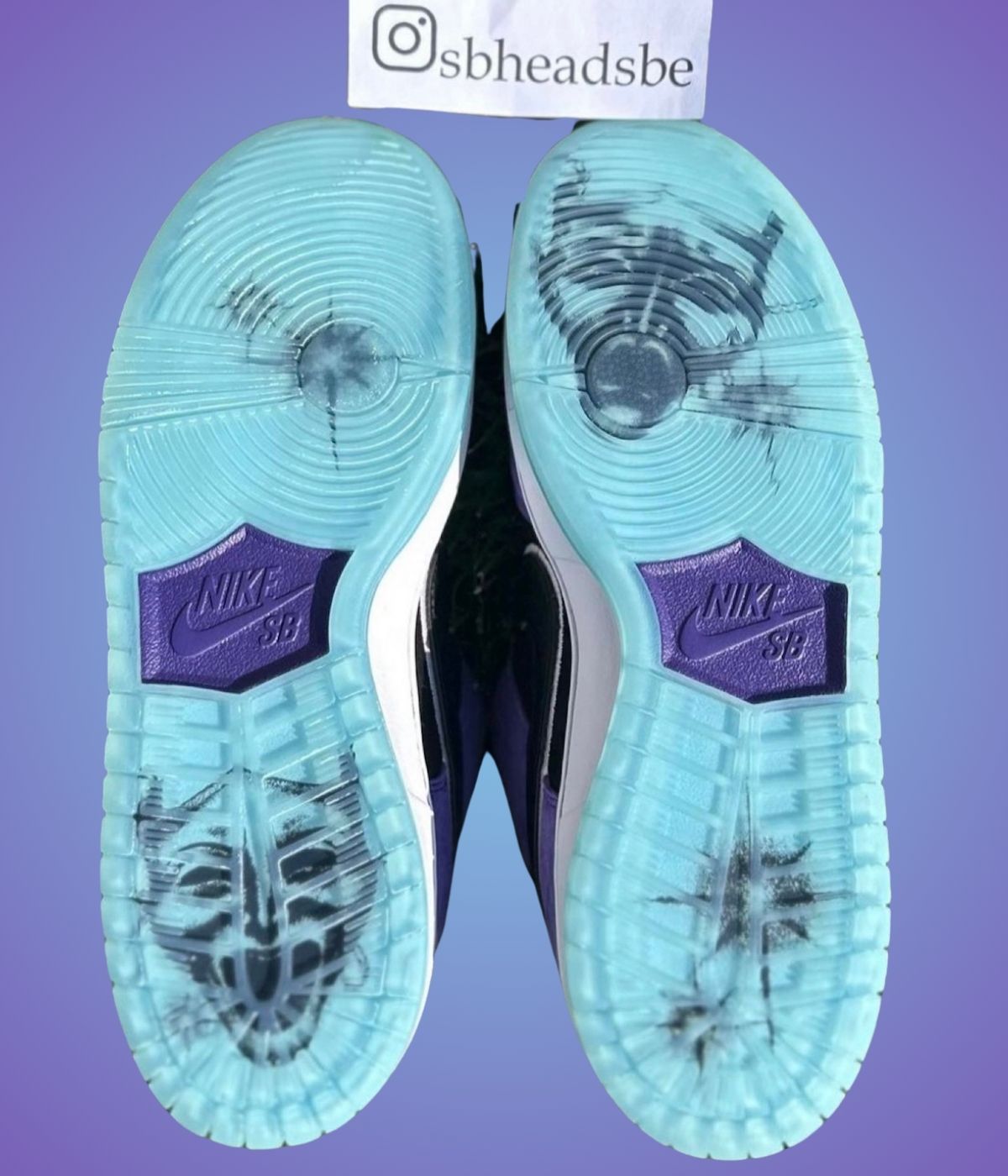 Hayley Wilson x Nike SB Dunk Low HJ0513-500 | SneakerFiles