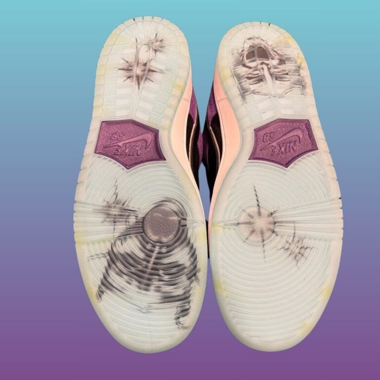 Hayley Wilson x Nike SB Dunk Low HJ0513-500 | SneakerFiles