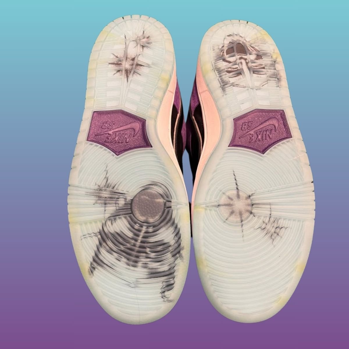 Hayley Wilson x Nike SB Dunk Low HJ0513-500 | SneakerFiles