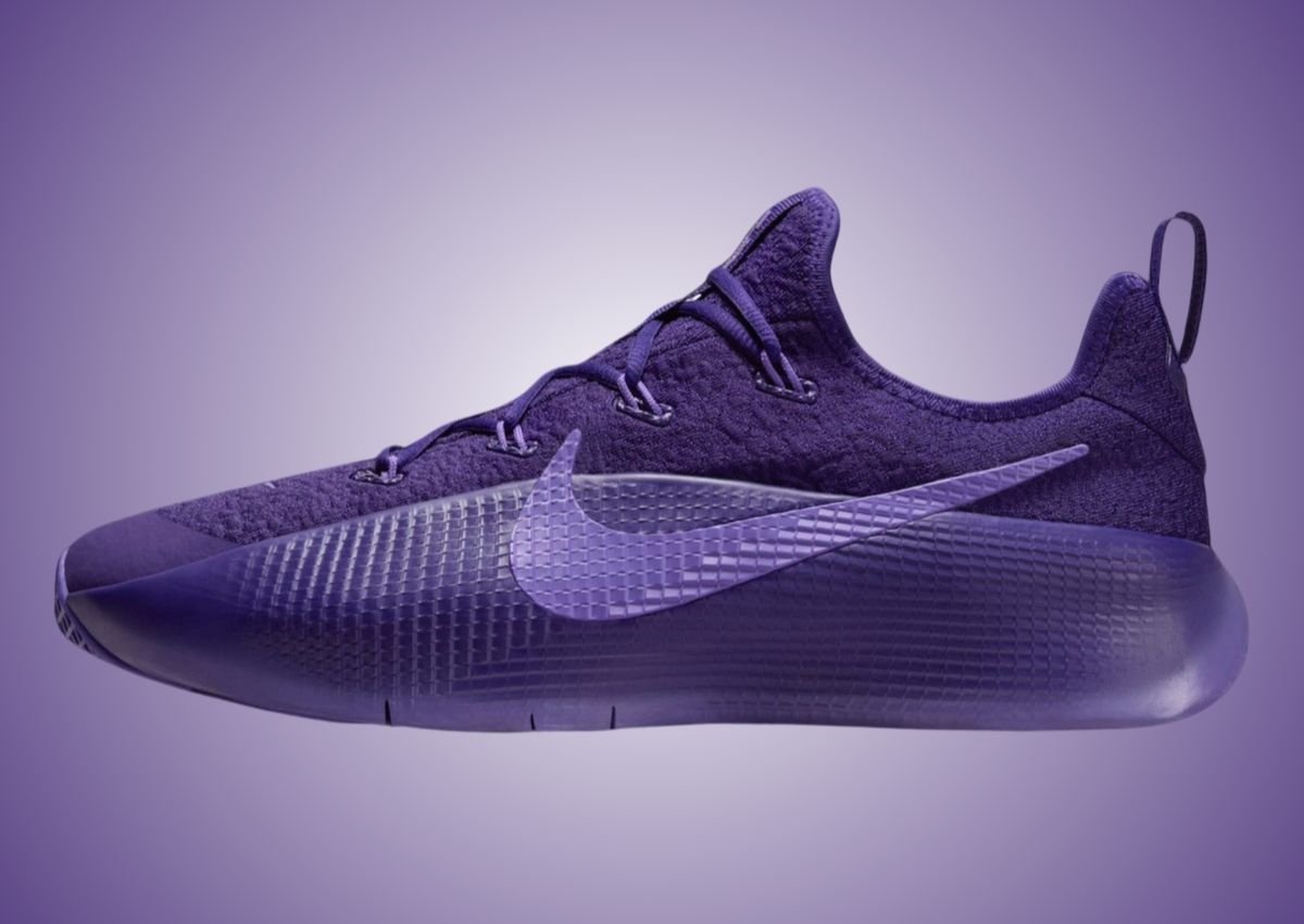 Nike LeBron TR1 Purple Rain FJ6151-500 | SneakerFiles