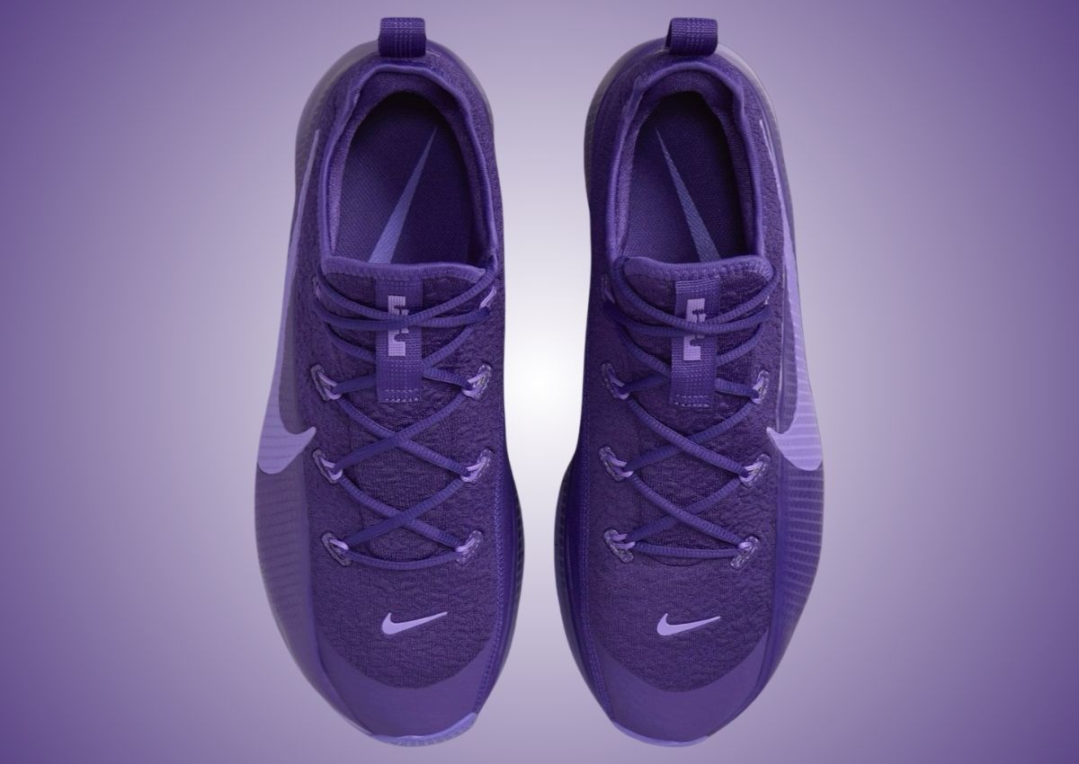 Nike LeBron TR1 Purple Rain FJ6151-500 | SneakerFiles