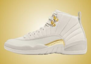 Air Jordan 12 Phantom FD9101-007 | SneakerFiles