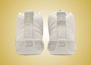 Air Jordan 12 Phantom FD9101-007 | SneakerFiles