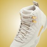 Air Jordan 12 Phantom FD9101-007 | SneakerFiles
